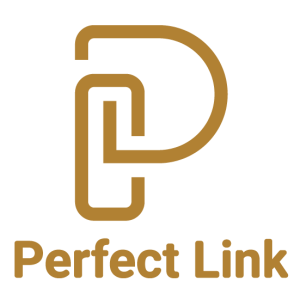 Perfect Link